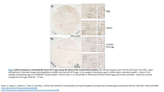 Parasite Nematode Egg Extraction and Counting | PPTX | Chemistry | Science