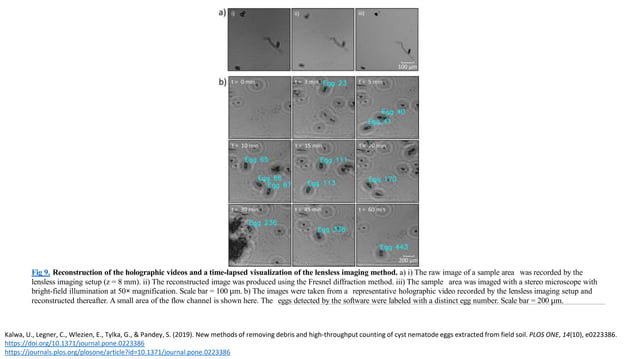 Parasite Nematode Egg Extraction and Counting | PPTX | Chemistry | Science
