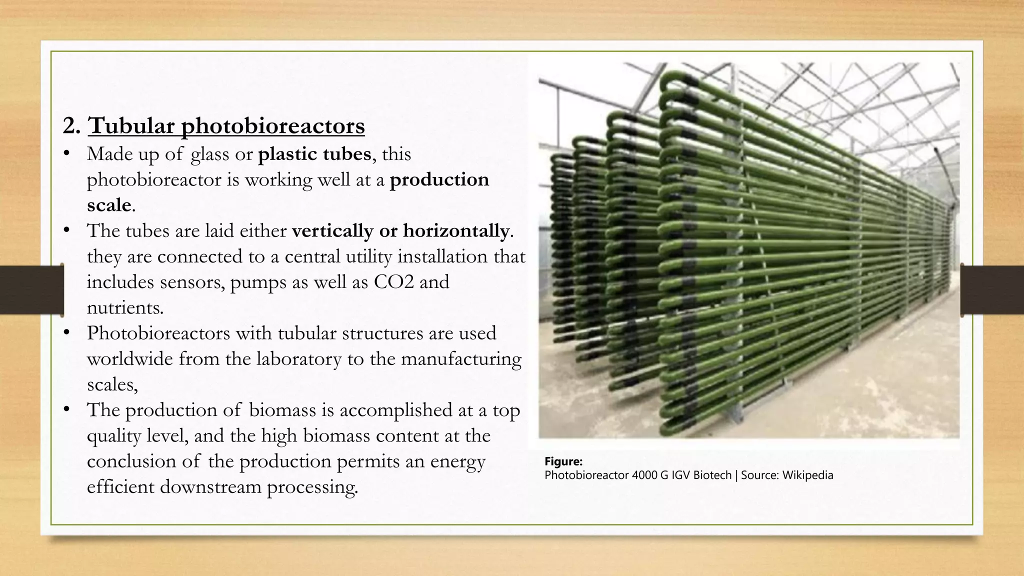 photo bioreactor types,advantage,disadvantage,contruction | PDF
