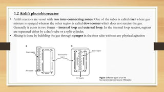 photo bioreactor types,advantage,disadvantage,contruction | PDF