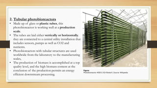 photo bioreactor types,advantage,disadvantage,contruction | PDF