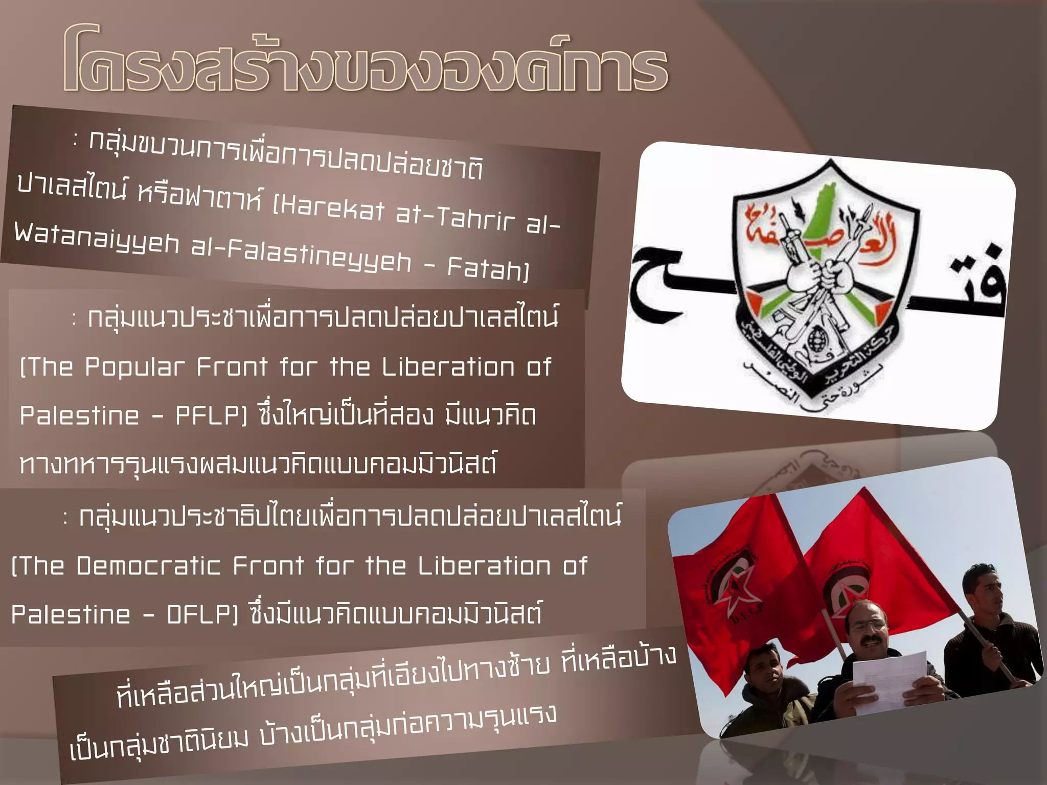 PLO Palestine Liberation Organization องค์กรปลดปล่อยปาเลสไตน์ | PDF