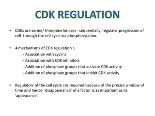 New Microsoft Office PowerPoint Presentation-1.pptx