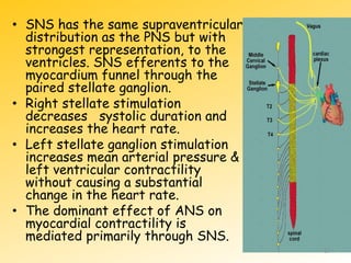 Physiology of ANS | PPTX