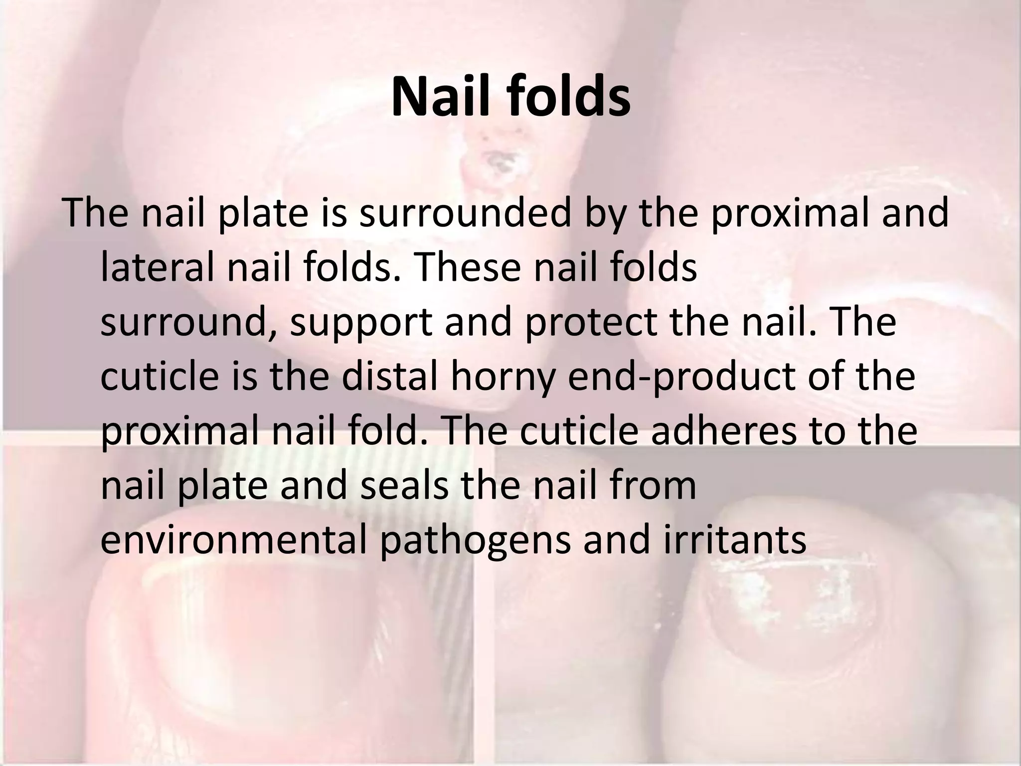 dermatology.nail disorder.(dr.mhamad usif) | PPTX