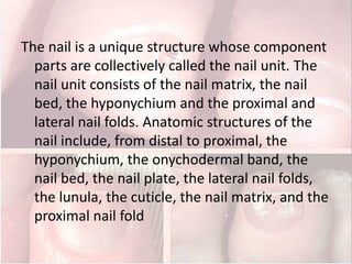dermatology.nail disorder.(dr.mhamad usif) | PPTX