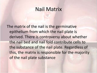 dermatology.nail disorder.(dr.mhamad usif) | PPTX