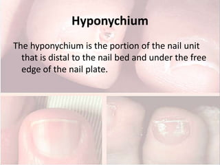 dermatology.nail disorder.(dr.mhamad usif) | PPTX