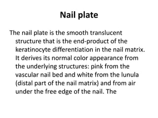 dermatology.nail disorder.(dr.mhamad usif) | PPTX