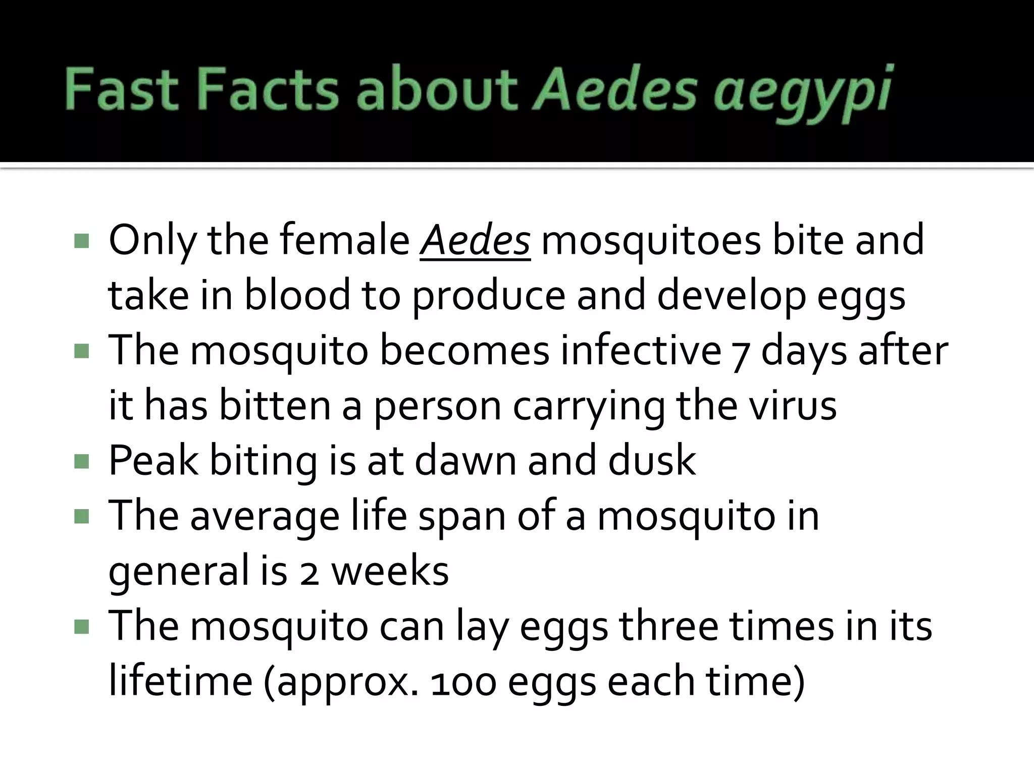 Dengue Fever Facts | PPT