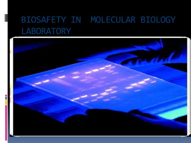 Biosafety and ethics in Molecular biology laboratory | PPTX | First Aid ...