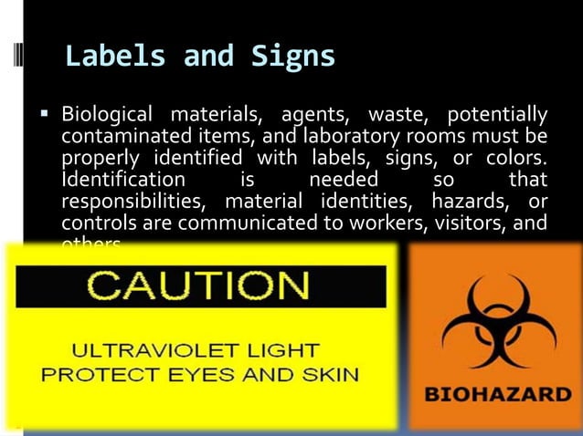 Biosafety and ethics in Molecular biology laboratory | PPTX | First Aid ...