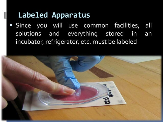 Biosafety and ethics in Molecular biology laboratory | PPTX | First Aid ...