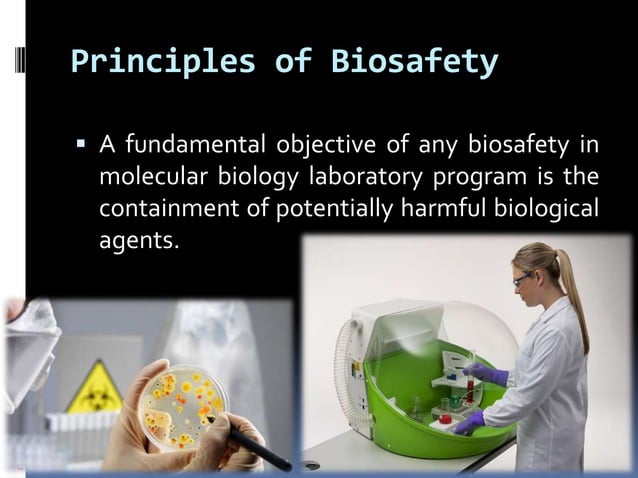 Biosafety and ethics in Molecular biology laboratory | PPTX | First Aid ...