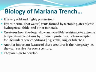 mariana trench | PPTX