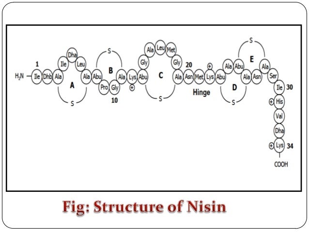 Nisin Biotechnological production and Applications
