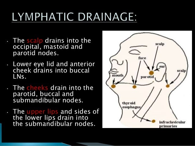 examination of lymph nodes