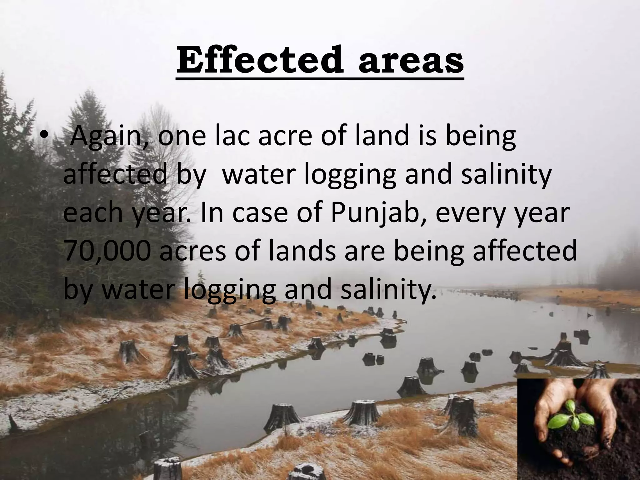 water logging and salinity in pakistan by Musadiq Rehmani | PPTX