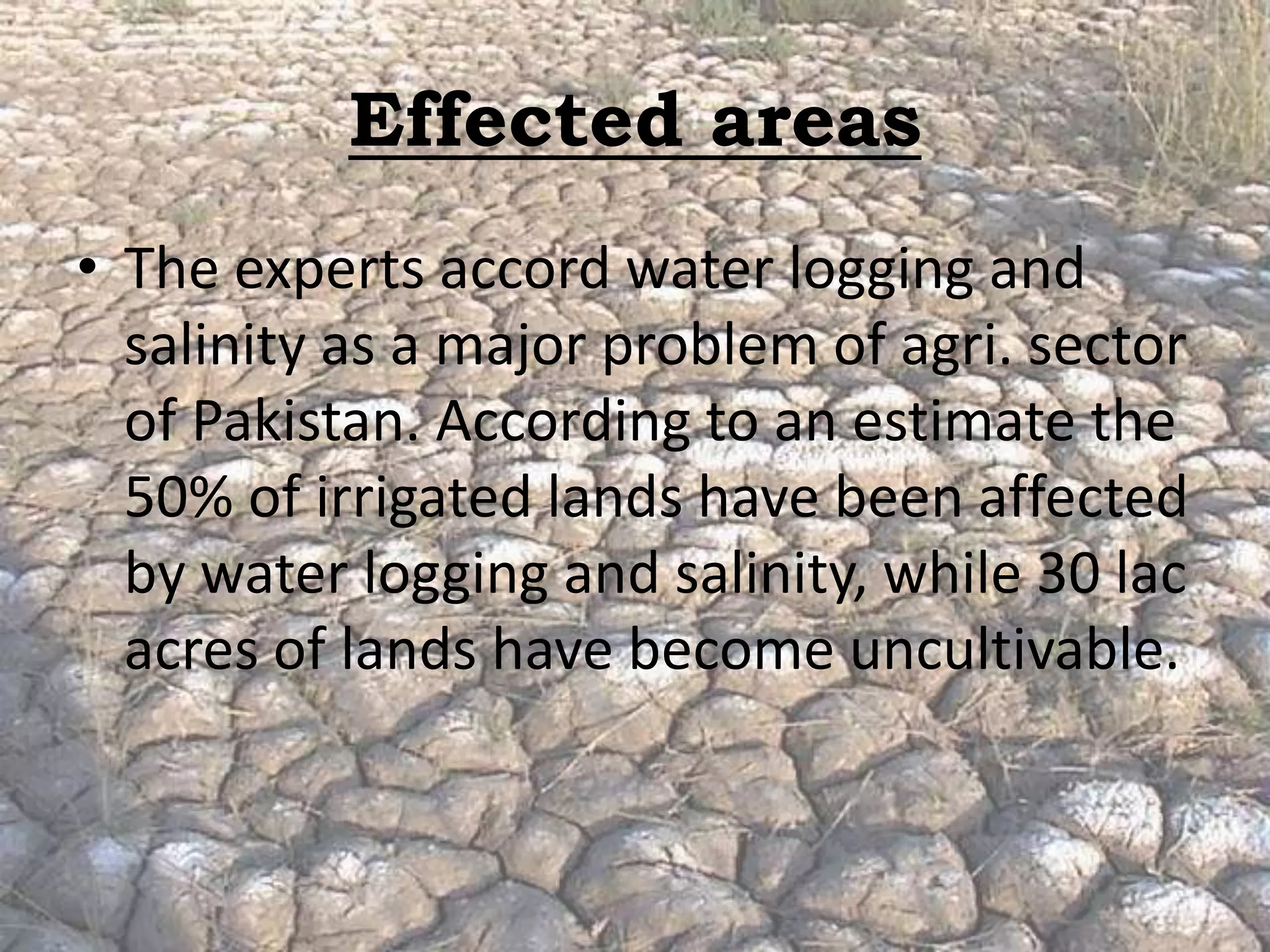 water logging and salinity in pakistan by Musadiq Rehmani | PPTX