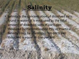 water logging and salinity in pakistan by Musadiq Rehmani | PPTX