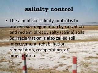 water logging and salinity in pakistan by Musadiq Rehmani | PPTX