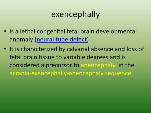 exencephaly..case