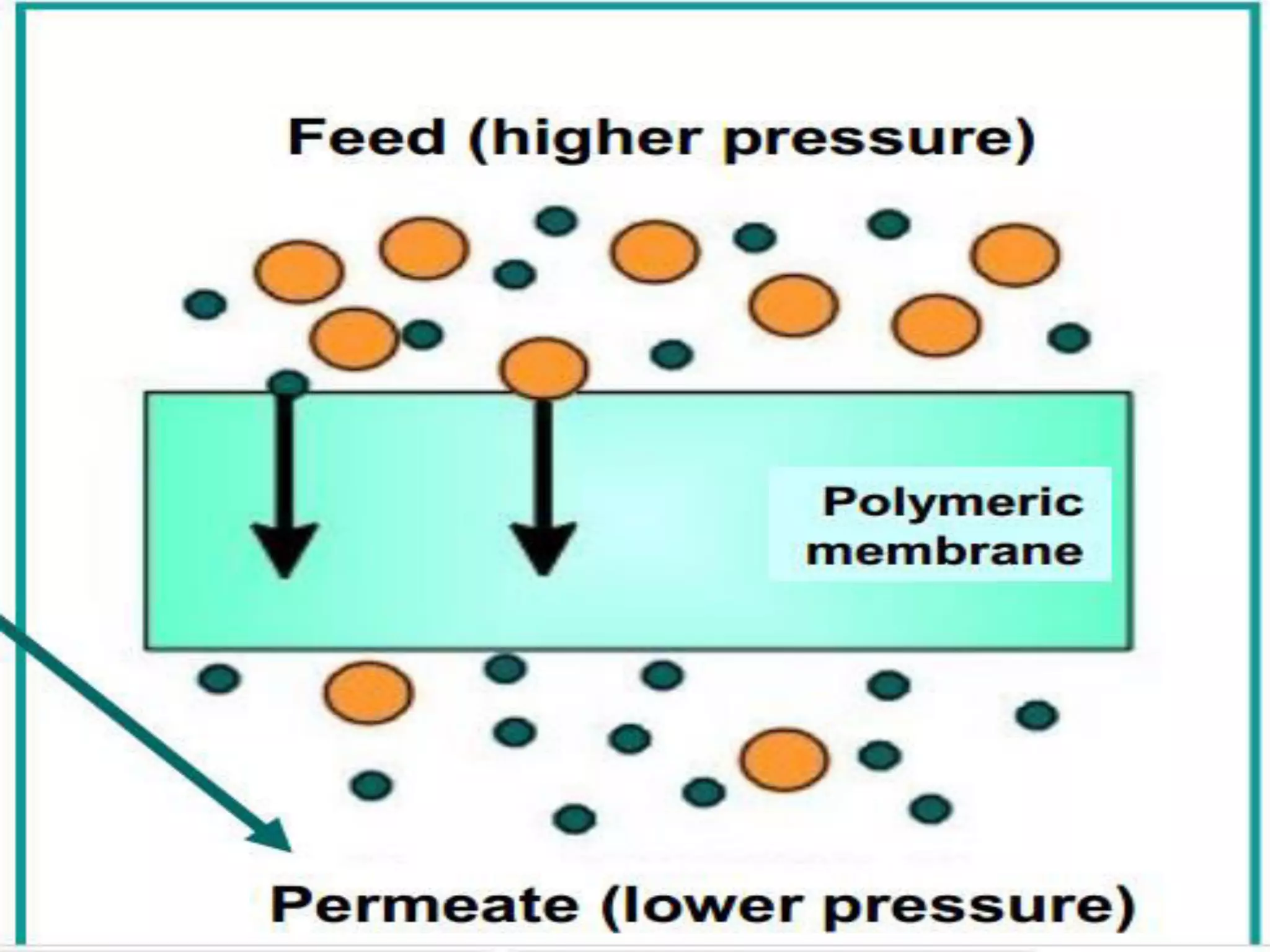 gas and liquid permeation | PDF