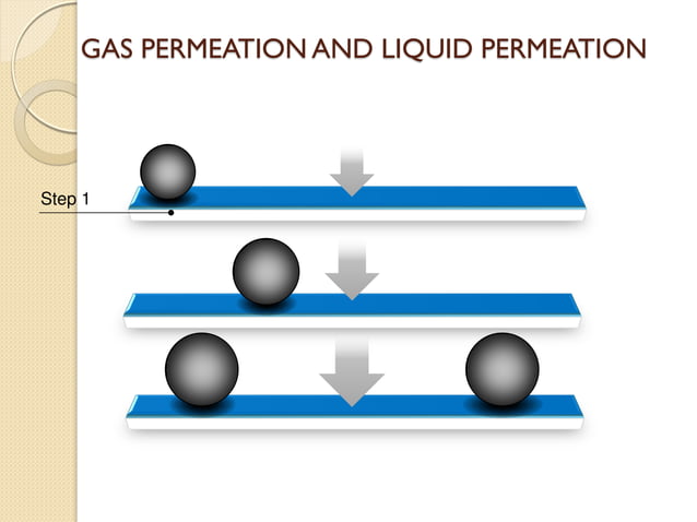 gas and liquid permeation | PDF