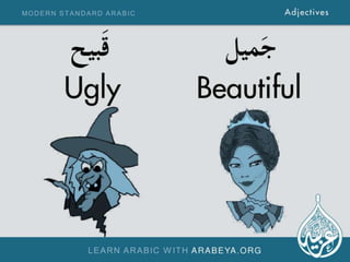 Modern Standard Arabic Adjectives | PPTX