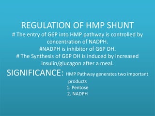 HMP Shunt | PPTX