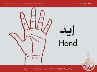 Enjoy New Daily Egyptian Arabic from Arabeya and Talk like Egyptians | PPT