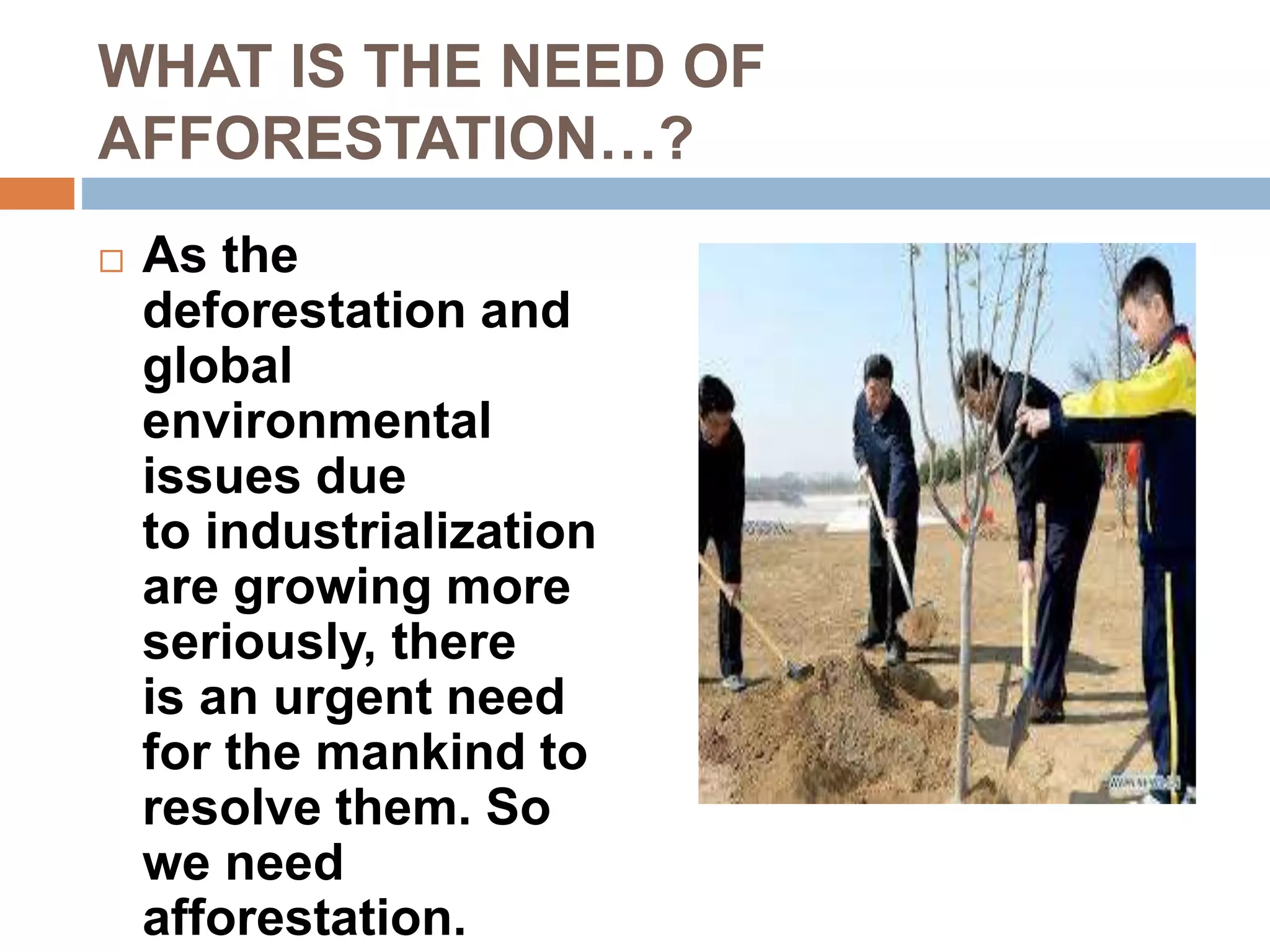 deforestation and afforestation | PPTX