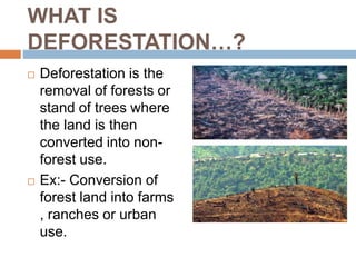 deforestation and afforestation | PPTX