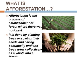 deforestation and afforestation | PPTX