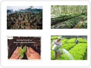 Afforestation And Deforestation Models