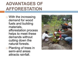 Afforestation And Deforestation Models