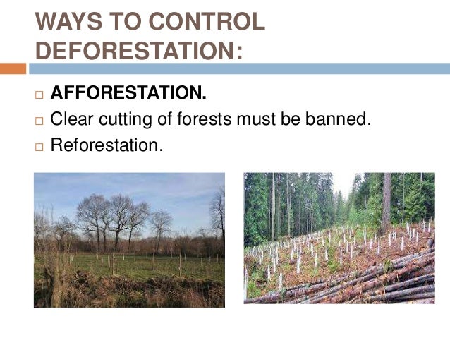 deforestation and afforestation