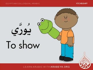 Improve your Egyptian Arabic vocabulary and follow Arabeya daily Arabic ...