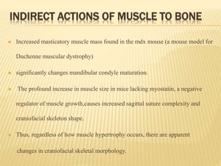 INSULIN-LIKE GROWTH FACTOR | PPTX