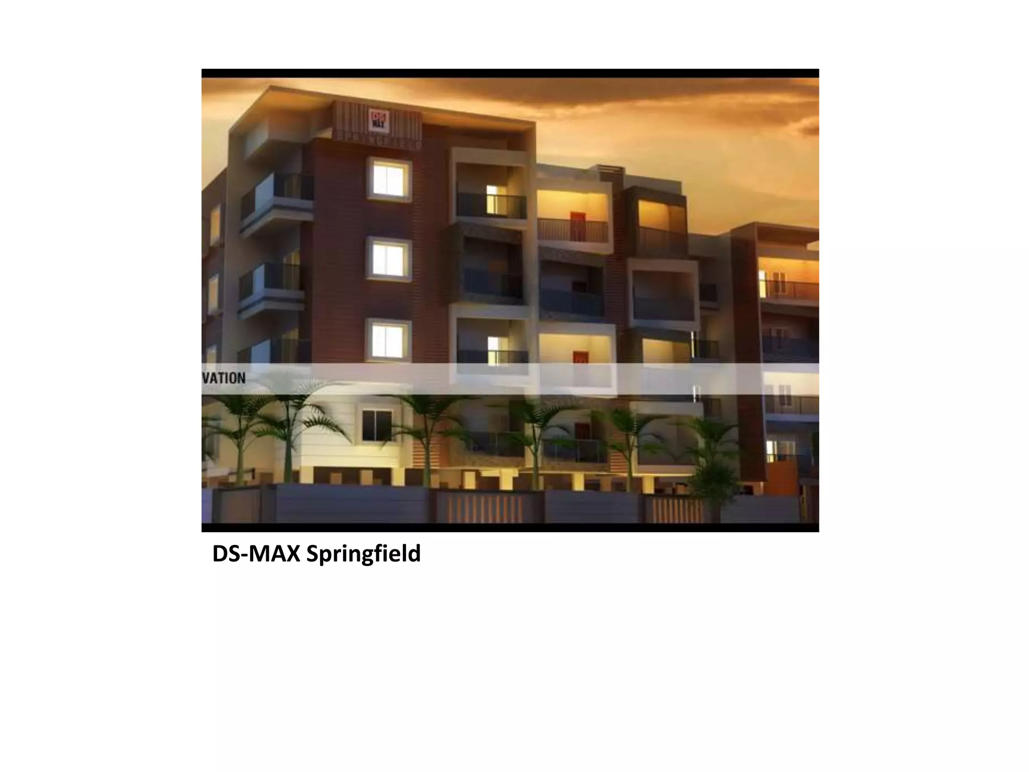 DS-MAX Springfield | PPTX