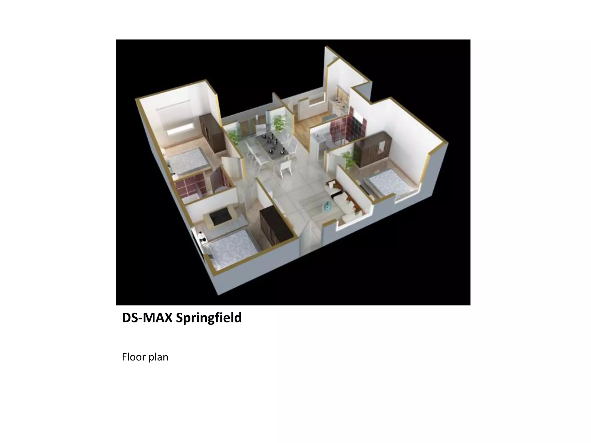 DS-MAX Springfield | PPTX