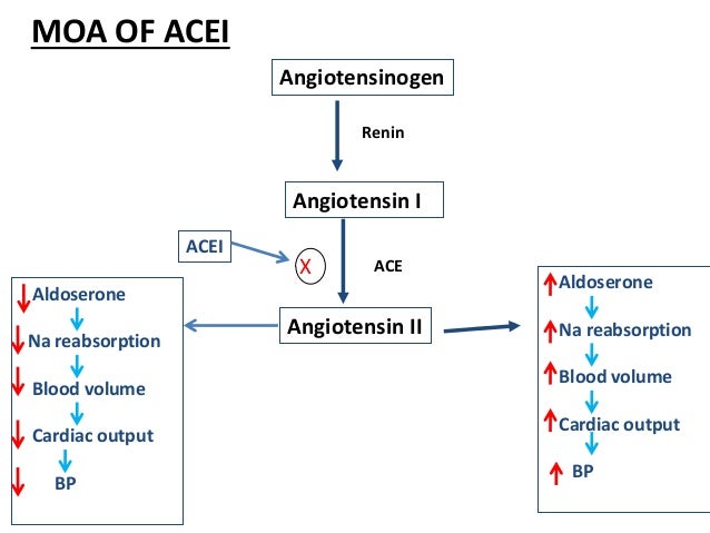Angiotensin converting Enzyme inhibitors