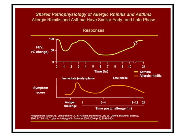 Interactions between rhinitis & asthma | PDF | Allergies | Diseases and ...