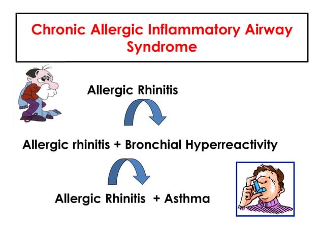 Interactions between rhinitis & asthma | PDF | Allergies | Diseases and ...