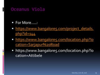 Oceanus Viola | PPT