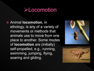Movement in plants and animals | PPT