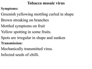 Plant Viruses Diseases and Symptoms | PPTX