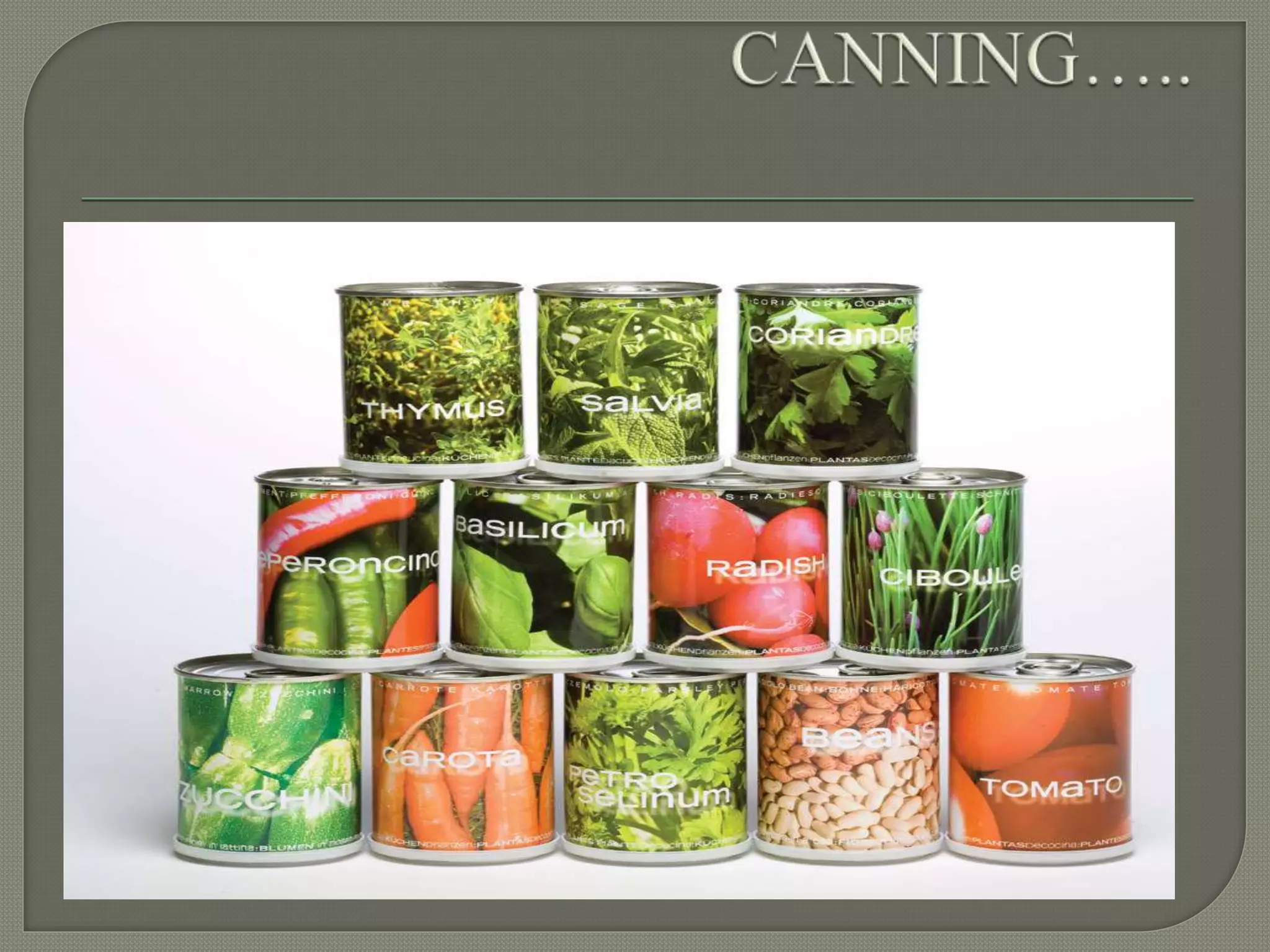 food technology | PPTX