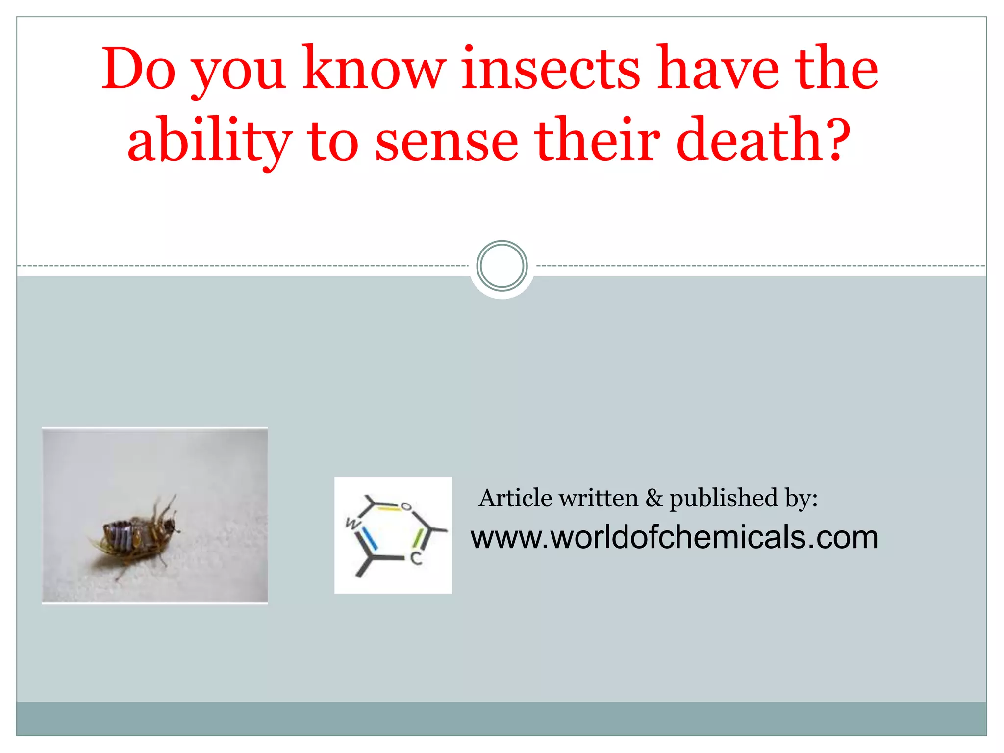Insects have the ability to sense their death | PPT