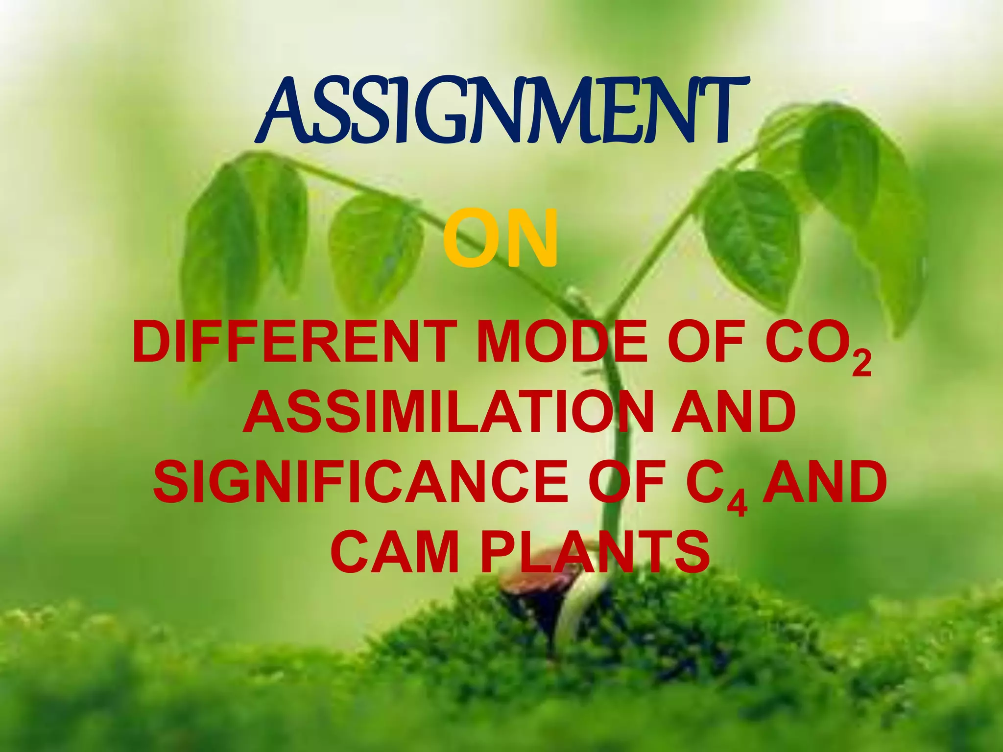 Different mode of carbon dioxide assimilation | PPTX